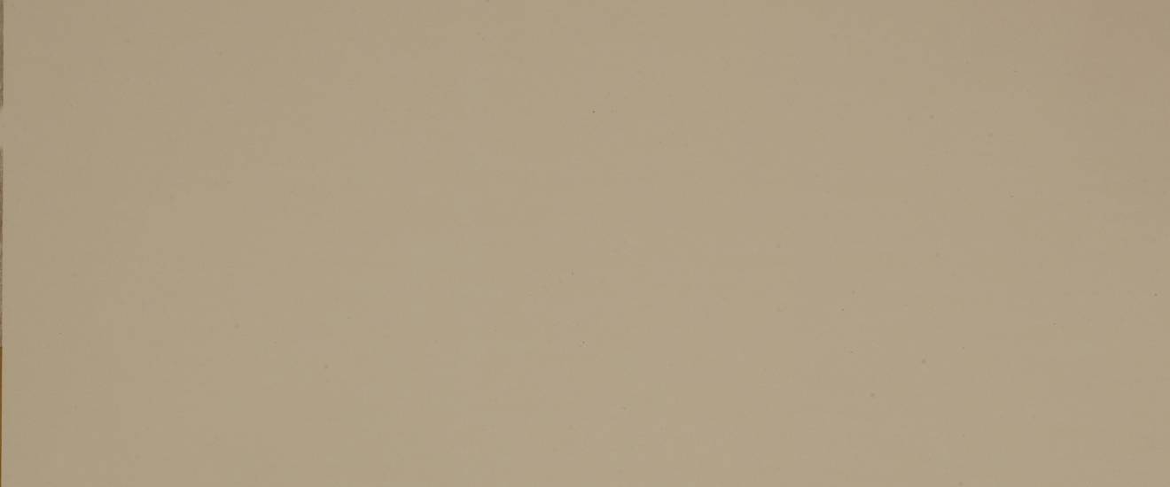 J0719 Beige Luxor - Formica India